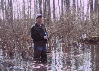 Early wetland assessment can keep project on track - CTL Engineering