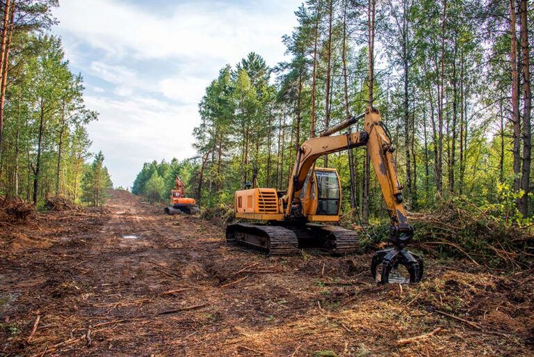 Easily Navigate Tree Clearing Restrictions - CTL Engineering